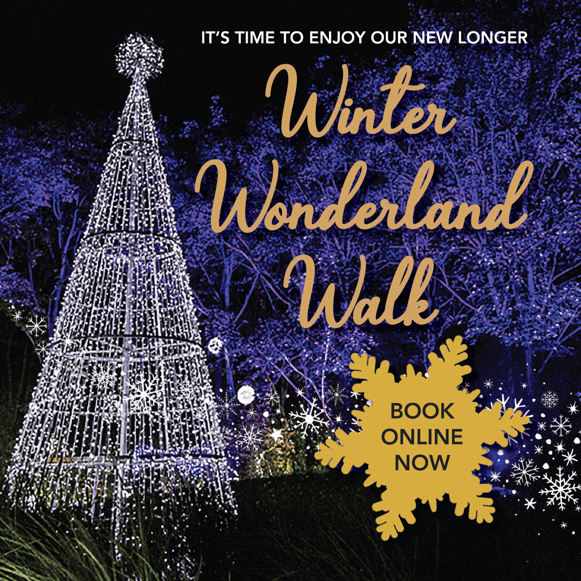Cadbury Outlet Chocolate Trail | Springfields, Spalding