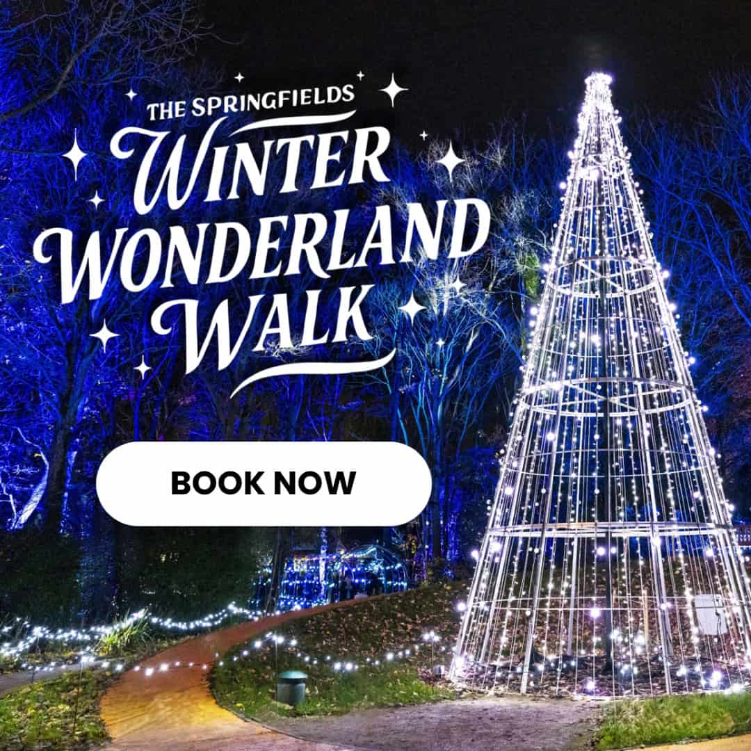 Winter Wonderland Walk 2025 | Springfields Designer Outlet